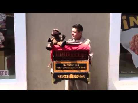 Organillero con changuito - YouTube