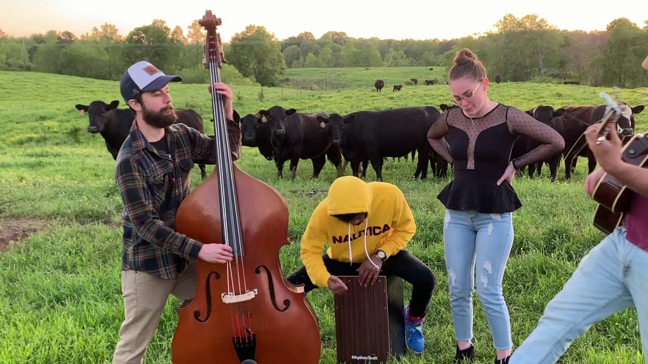 Band Playing Music In A Cow Field - YouTube