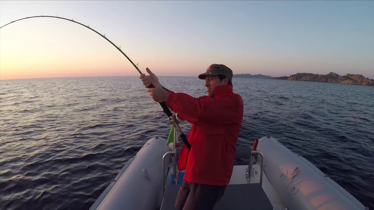 Pesca traina col vivo, Arcipelago di La Maddalena, a caccia di ricciole ...