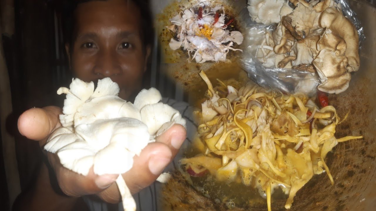 Delicious mushrooms recipes😋||cooking wild mushrooms kaiya - YouTube