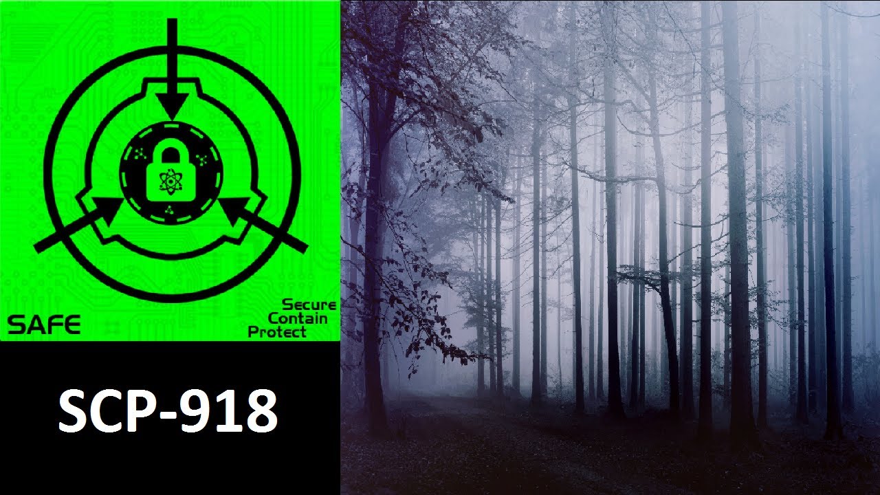 SCP-918-IK - "Уйти от мирских проблем" - YouTube
