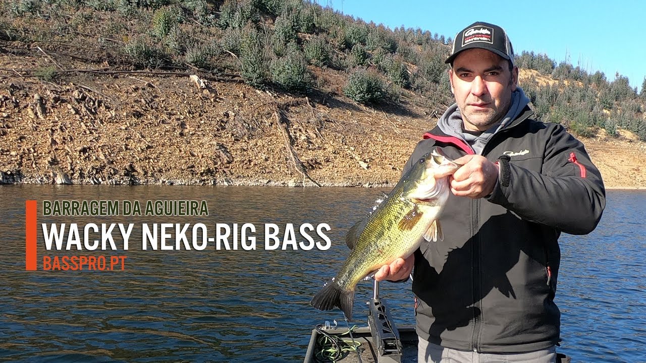 Wacky Neko Rig Bass - YouTube