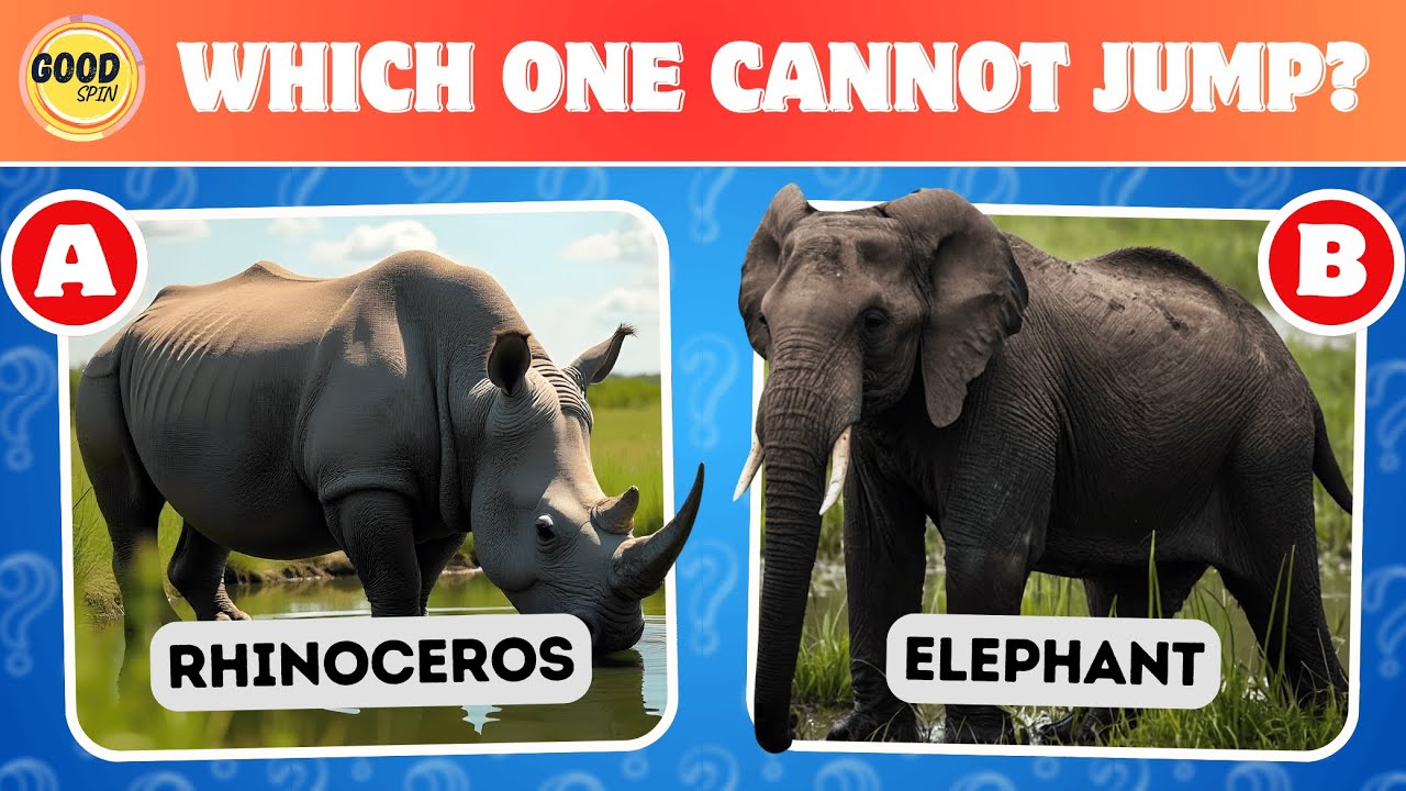 Wildlife IQ Test!🦒 40 Animal Questions You Can’t Miss🧠 #goodspin # ...