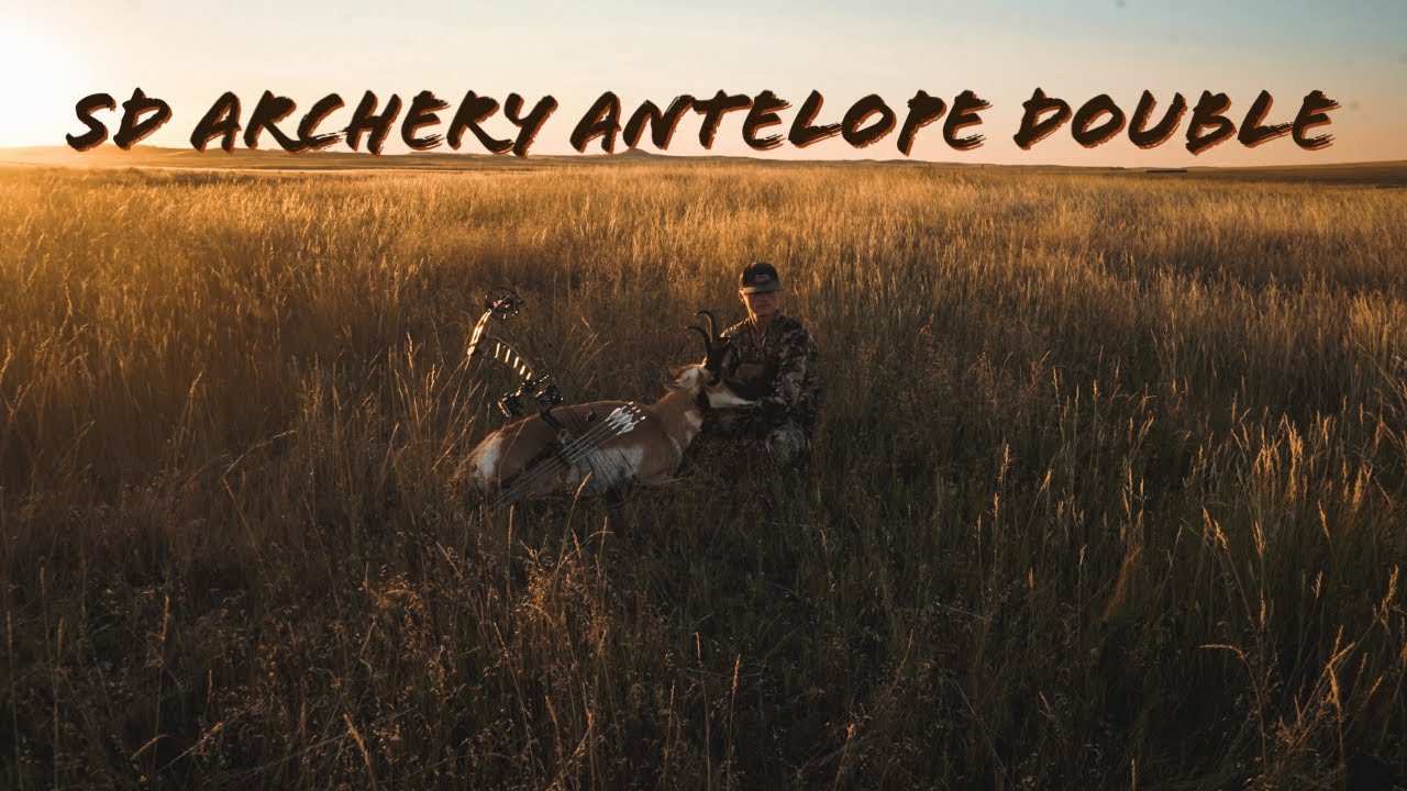 SD Archery Antelope Double - YouTube