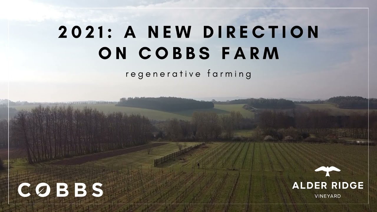 2021: A New Direction on Cobbs Farm - YouTube