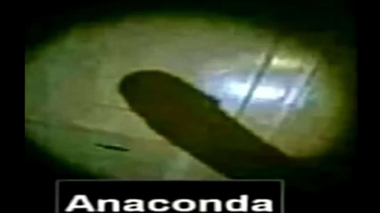 boevoi pidoras verification (GD) - YouTube