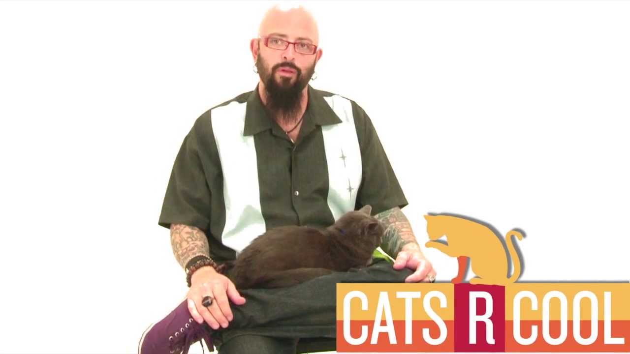 Cats R Cool: For Your Health - YouTube