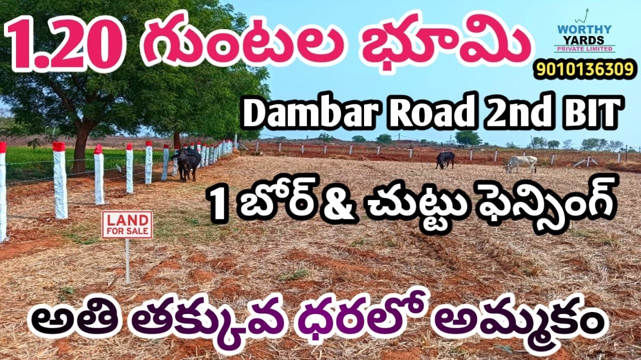 1.20 Acres Agriculture Land For Sale |Dambar Road 2nd BIT|#agriculture ...