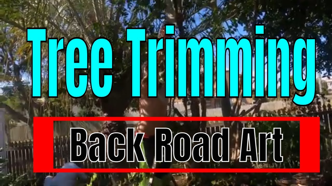 Tree Trimming during Virus lockdown - YouTube