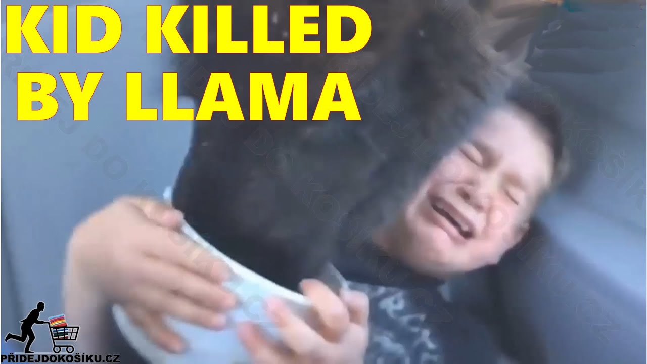 Fortnite lama plyšák 🦙 Funny Llama compilation 🦙 Dokumentarní film o ...