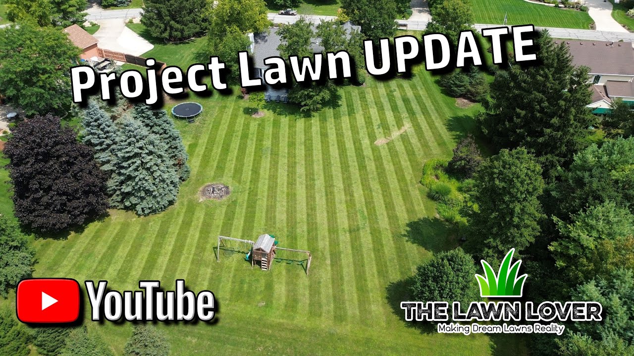 2023 Project Lawn - SUMMER UPDATE #turftitanlawn - YouTube