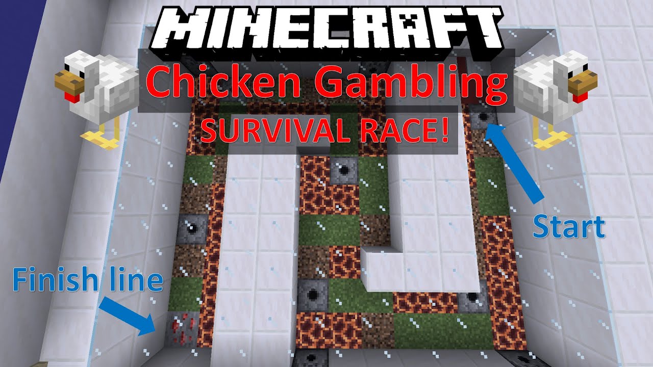 Chicken Survival Race Gambling | Minecraft | RTsWorld - YouTube