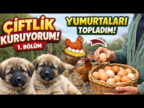 ÇİFTLİK KURUYORUM 1. BÖLÜM | VLOG