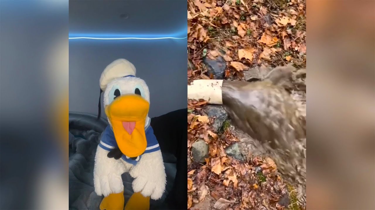 Donald Ducc FUNNY SATISFYING TikToks 4 (DONT LAUGH CHALLENGE) - YouTube