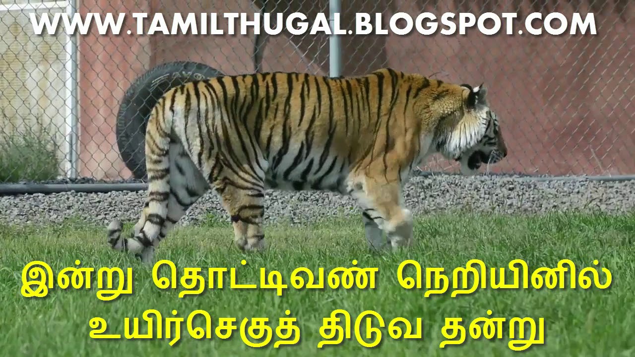 சீறாப் புராணம் - வகுப்பு 10 SEERAPURANAM - YouTube