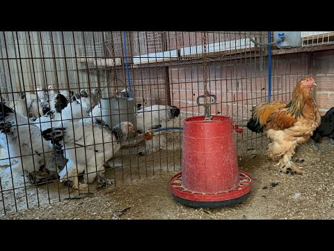 BÜTÜN BİLDİKLERİNİ UNUT