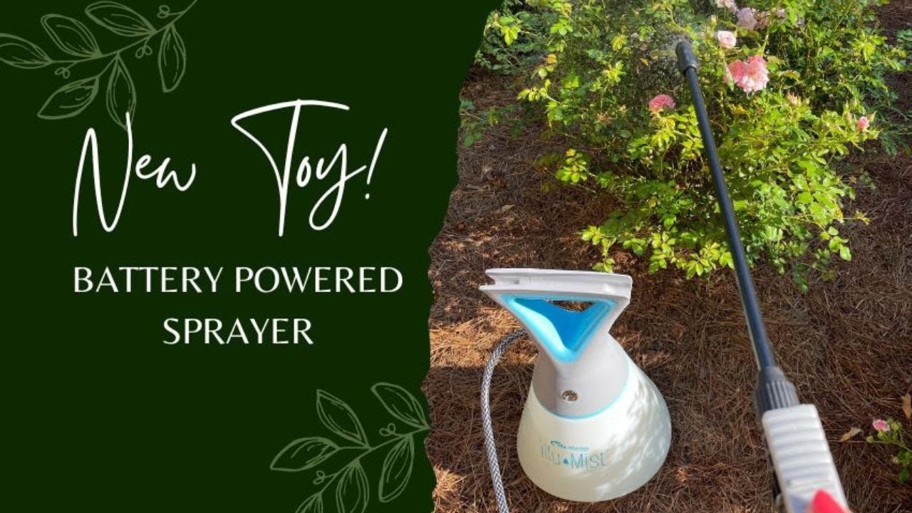 New Toy! Battery Powered Sprayer for My Roses - YouTube
