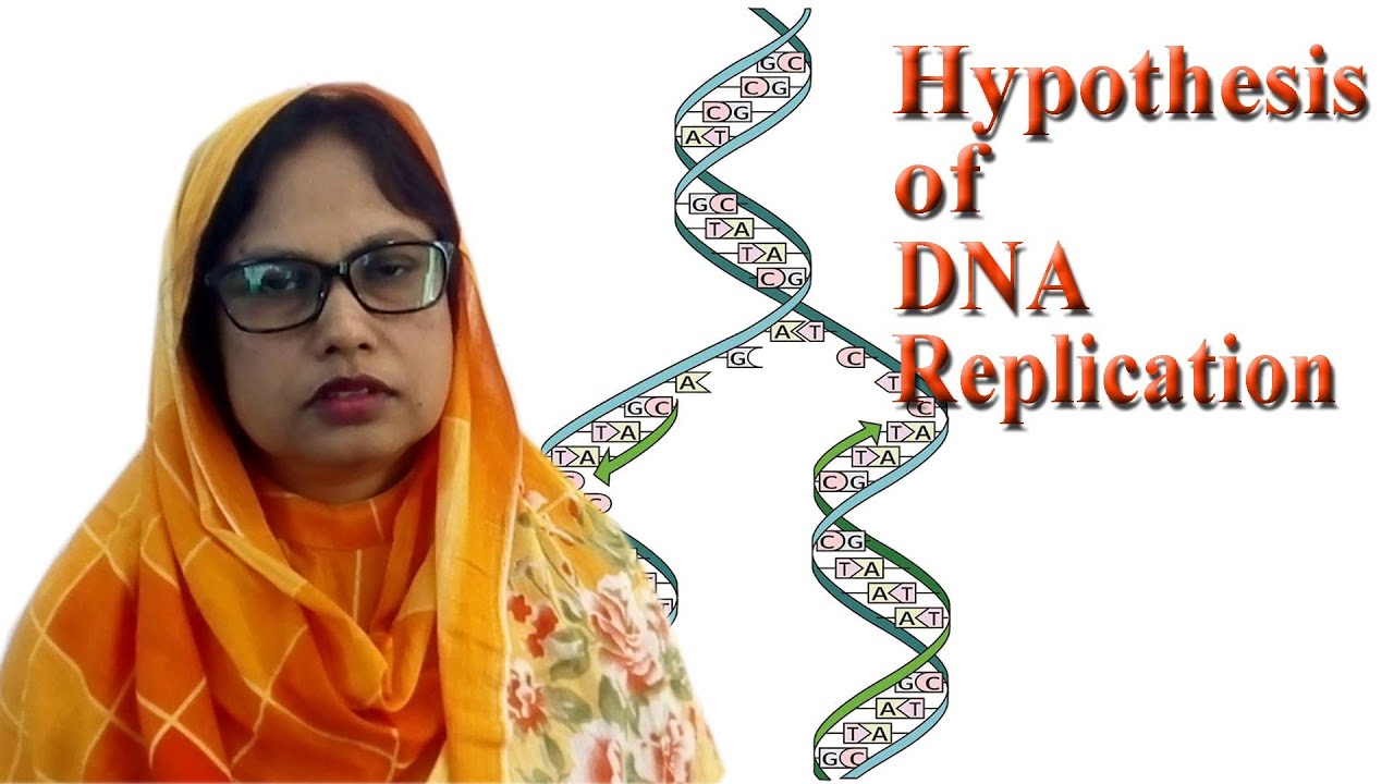 Hypothesis of DNA Replication - YouTube