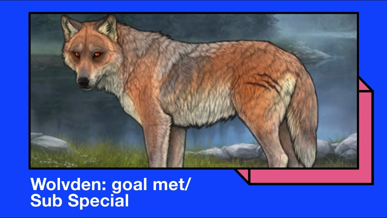 Wolvden: Goal Met/Sub Special - YouTube