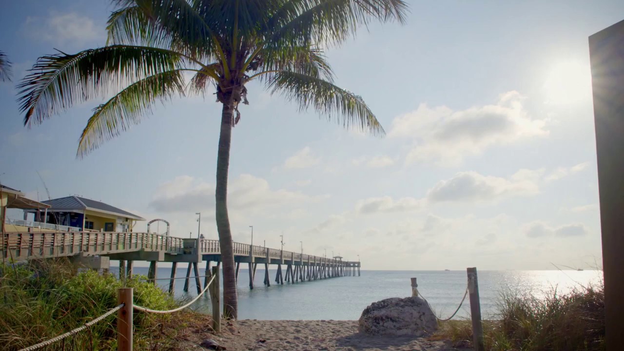 The STARTED Plan - Broward MPO Transit Projects Underway - YouTube