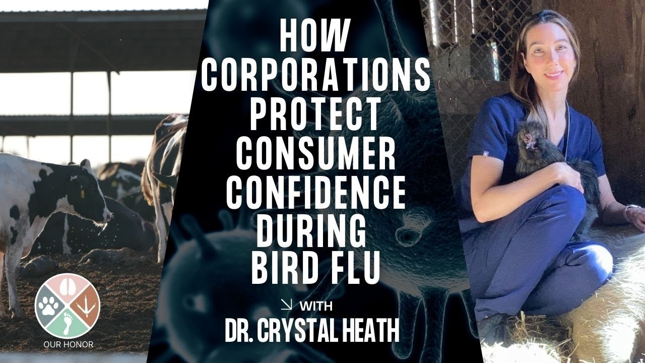 Dr. Crystal Heath on How Corporate Interests Protect Consumer ...