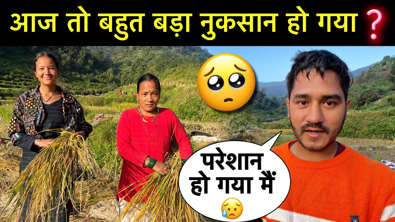 सुबह सुबह खेतों में जाकर धान की मंडाई और नुकसान हो गया 😭| Mr Bhandari ...