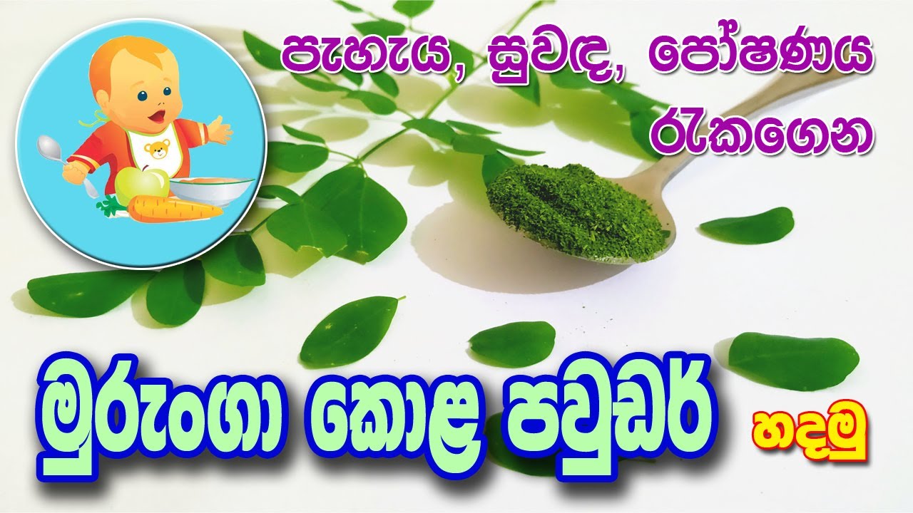 මුරුංගා කොළ පවුඩර් - Murunga kola powder - Baby Food Sinhala Recipe ...