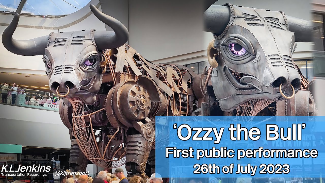 'Ozzy the Bull' First public performance: 26th of July 2023 - YouTube