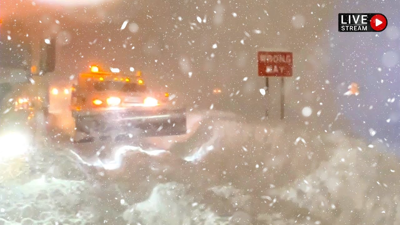 UNBELIEVABLE - Buffalo SNOW STORM Buries Everything!- Live Storm Chaser ...