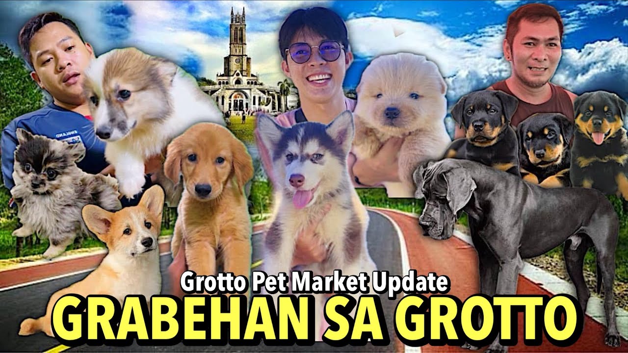 GRABEHAN SA GROTTO | GROTTO PET MARKET UPDATE | SEPTEMBER 08, 2024 ...