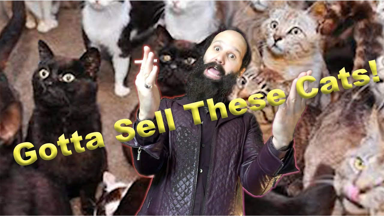 Sal The Cat Man - Commercial - YouTube