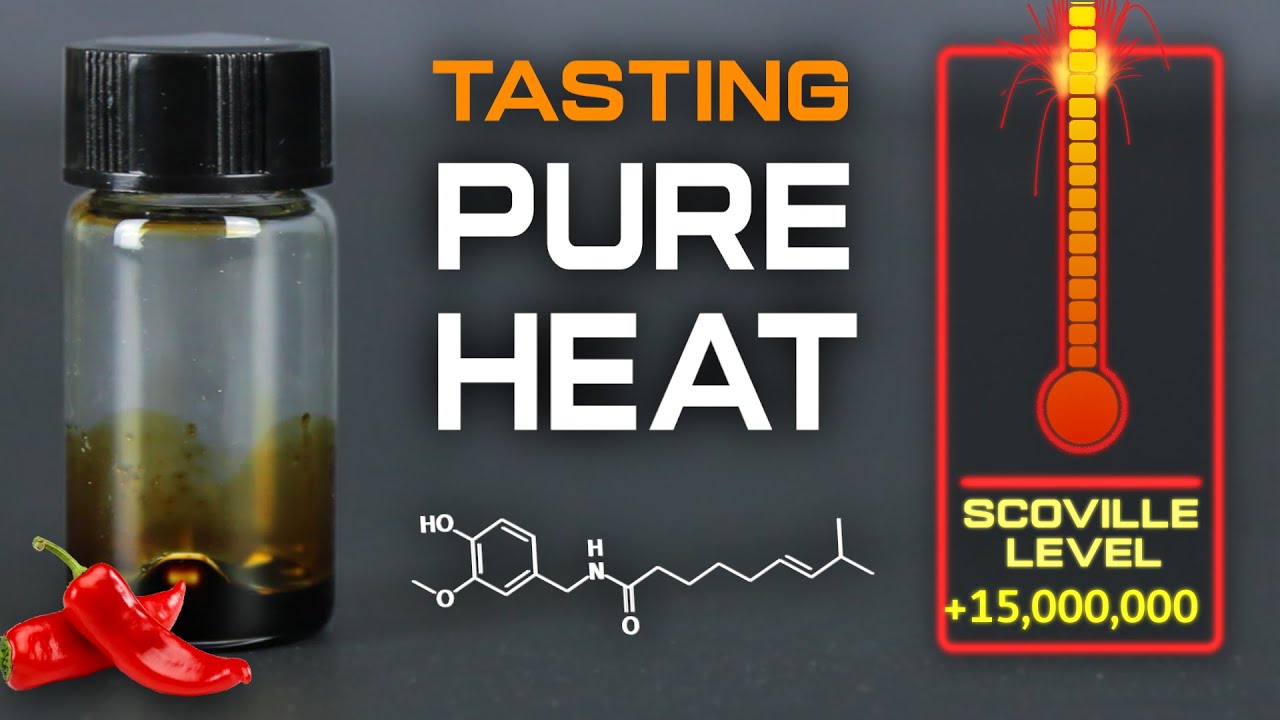 Extracting Capsaicin From Pepper X to Make the World's Hottest Sauce ...