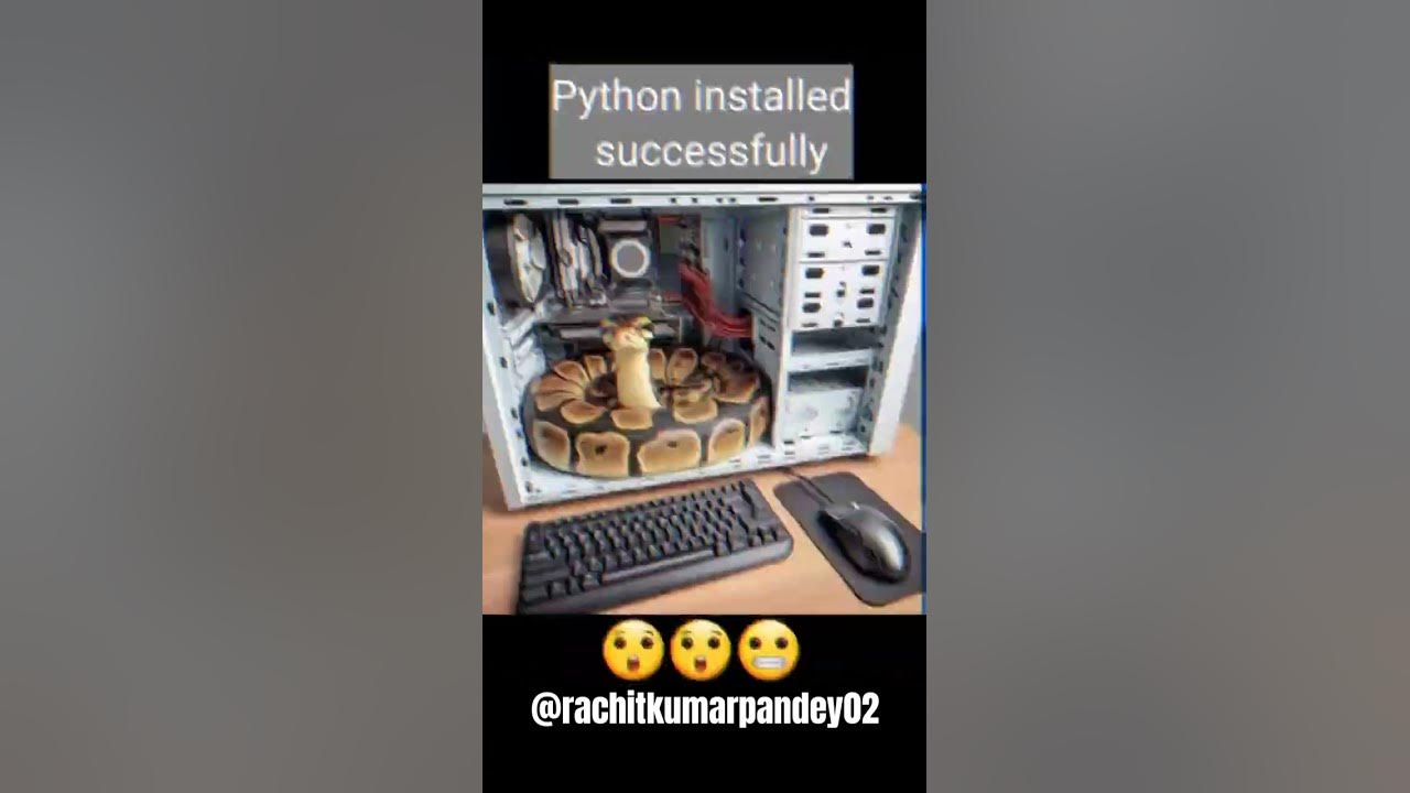 Python Programming Windows Pythonprogramming Shorts Pythonbeginner Memes