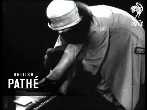 Cheating The Mud Spots  (1926)