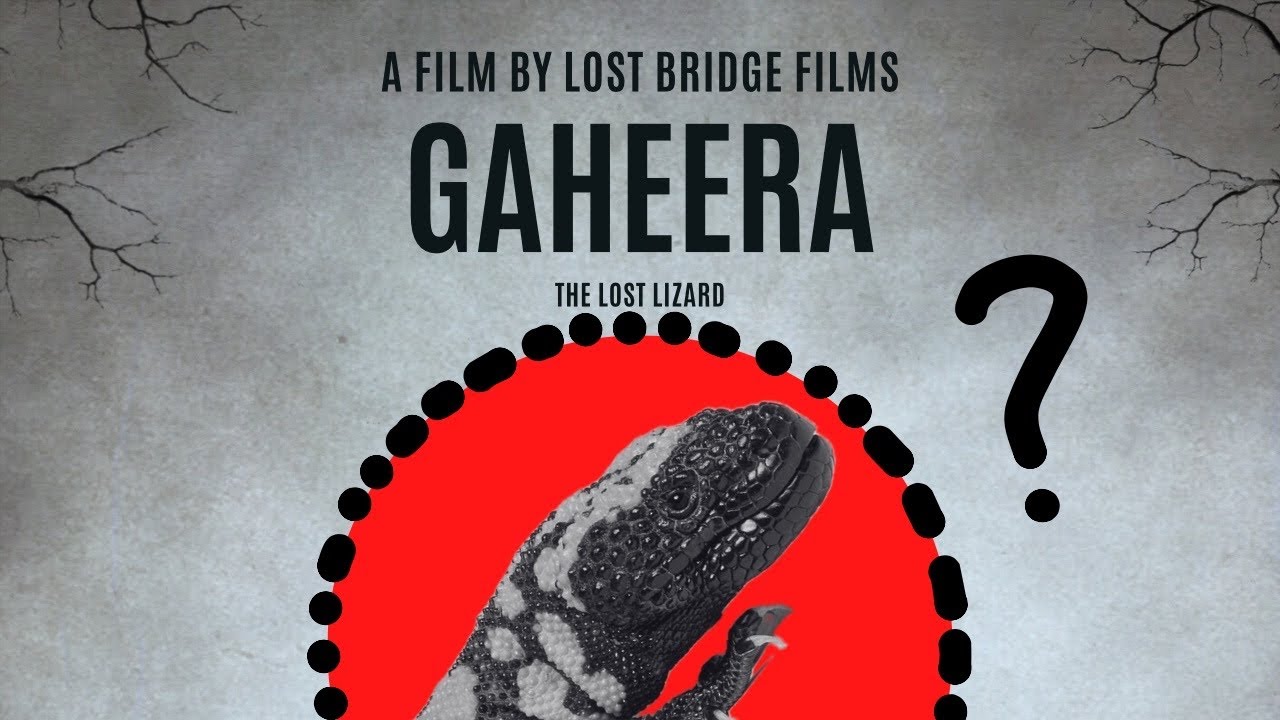 Gaheera | The Lost Lizard | Lost Bridge Pictures | Sunal Roamin - YouTube