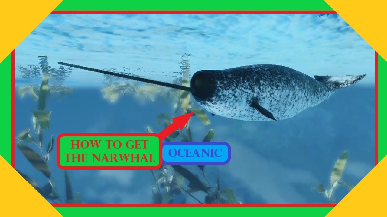 Narwhal Head Roblox Starfield: How To Get The Narwhal Ship