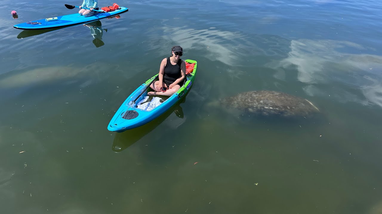 Kayaking with manatees in Crystal River, FL - YouTube