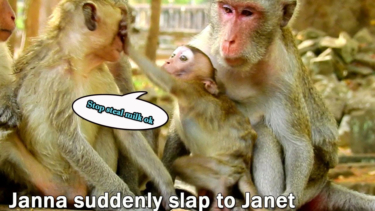 Good Job! Janna suddenly slap to Janet fast, when Janet waiting steal ...
