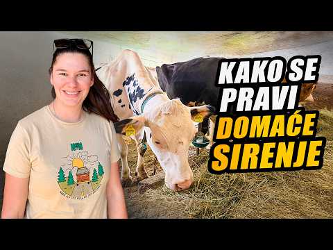 Ovako se pravi vrhunski domaći sir! U selu Držina vredni domaćini proizvedu i dve tone sira mesečno!