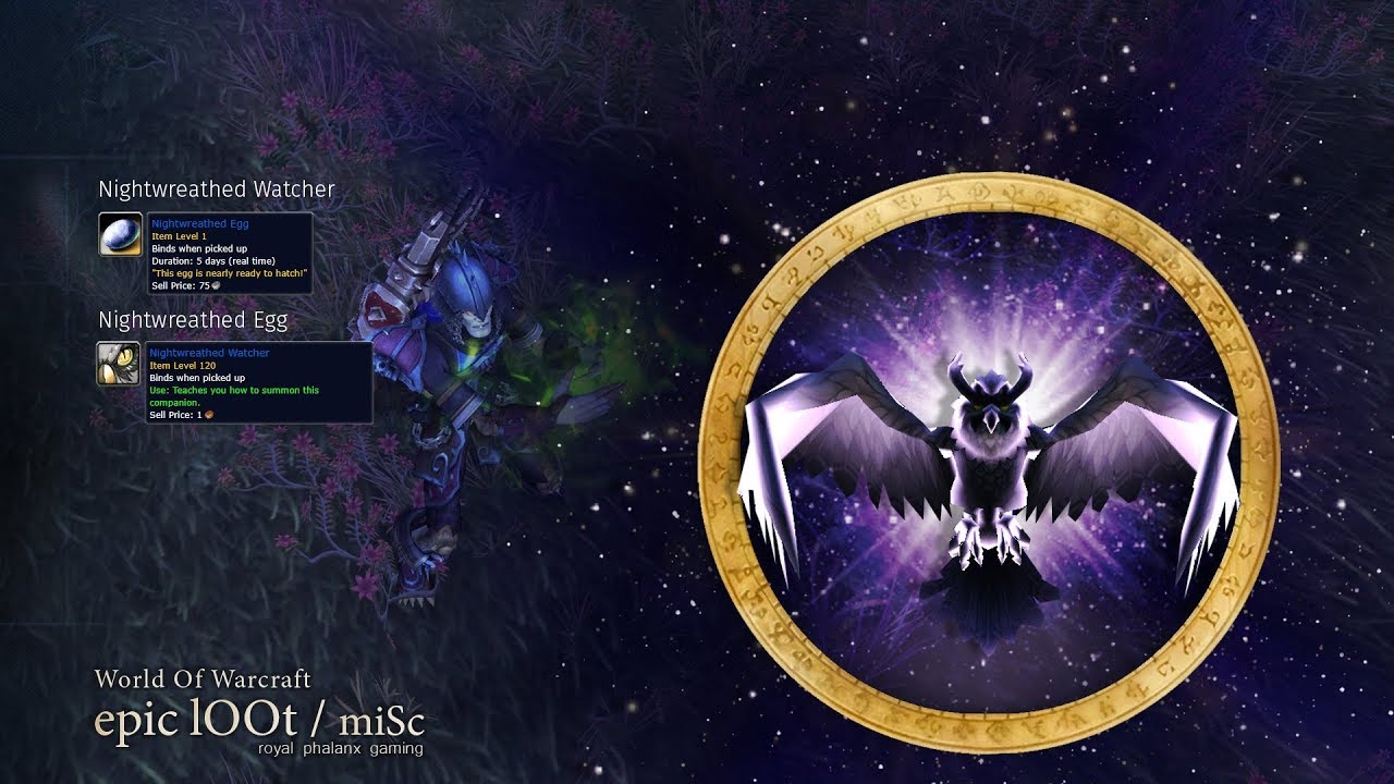 Nightwreathed Egg hatches into Nightwreathed Watcher PET - YouTube