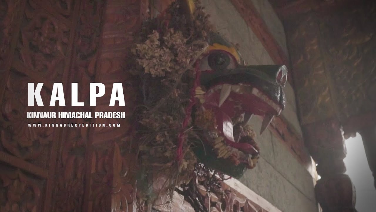 Kalpa Himachal Pradesh I Day Tour I Kinnaur Exepdition I Reckong Peo To ...