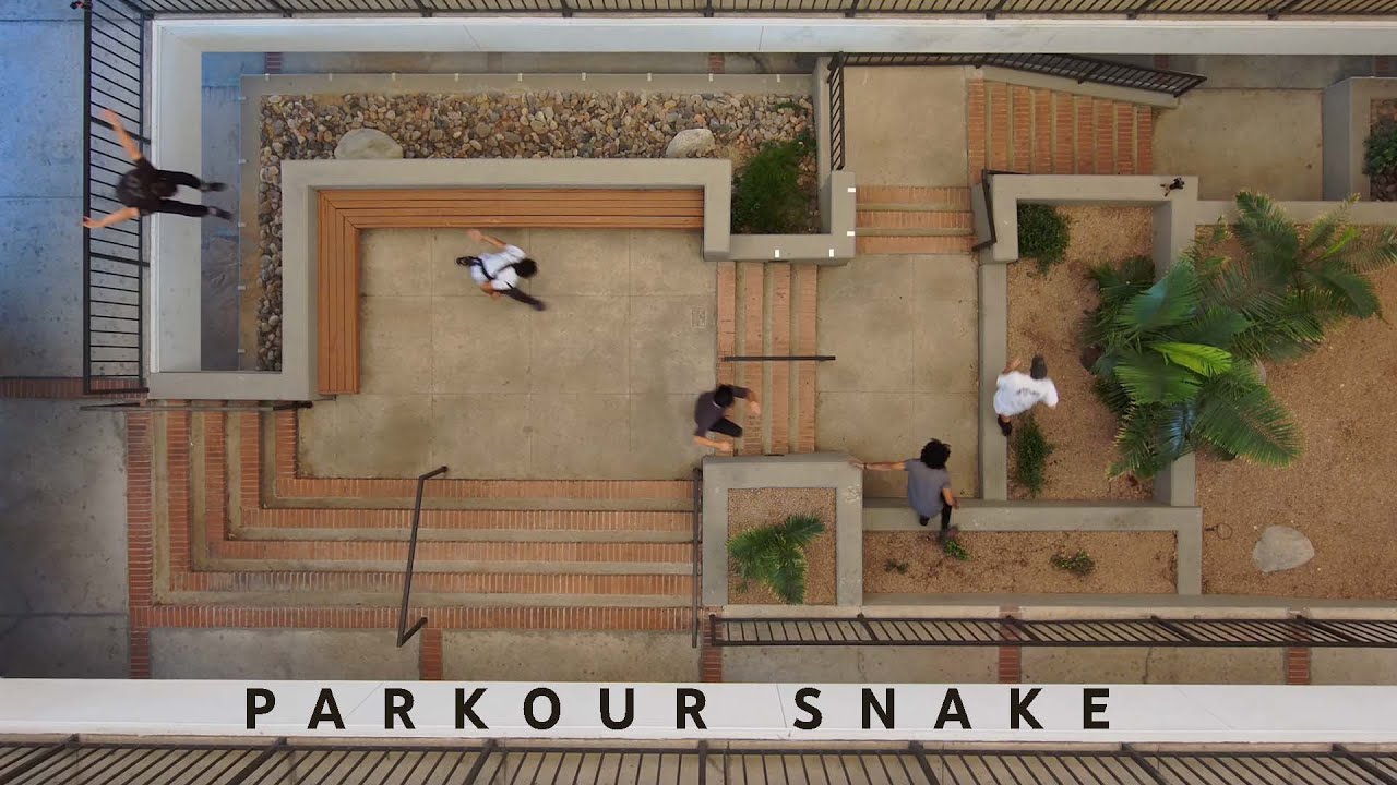 Parkour Snake Challenge & MUCH MORE! - YouTube