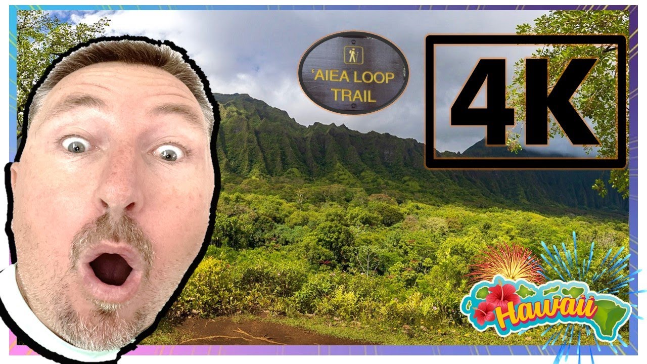 4K Hawaii 8 minute hike to heaven on the Aiea Loop Trail walk to the top of the world above ...