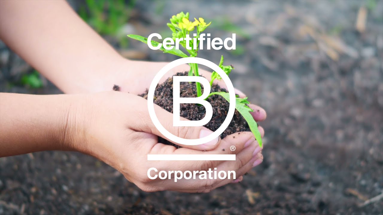 Delafruit it's B Corp company - YouTube