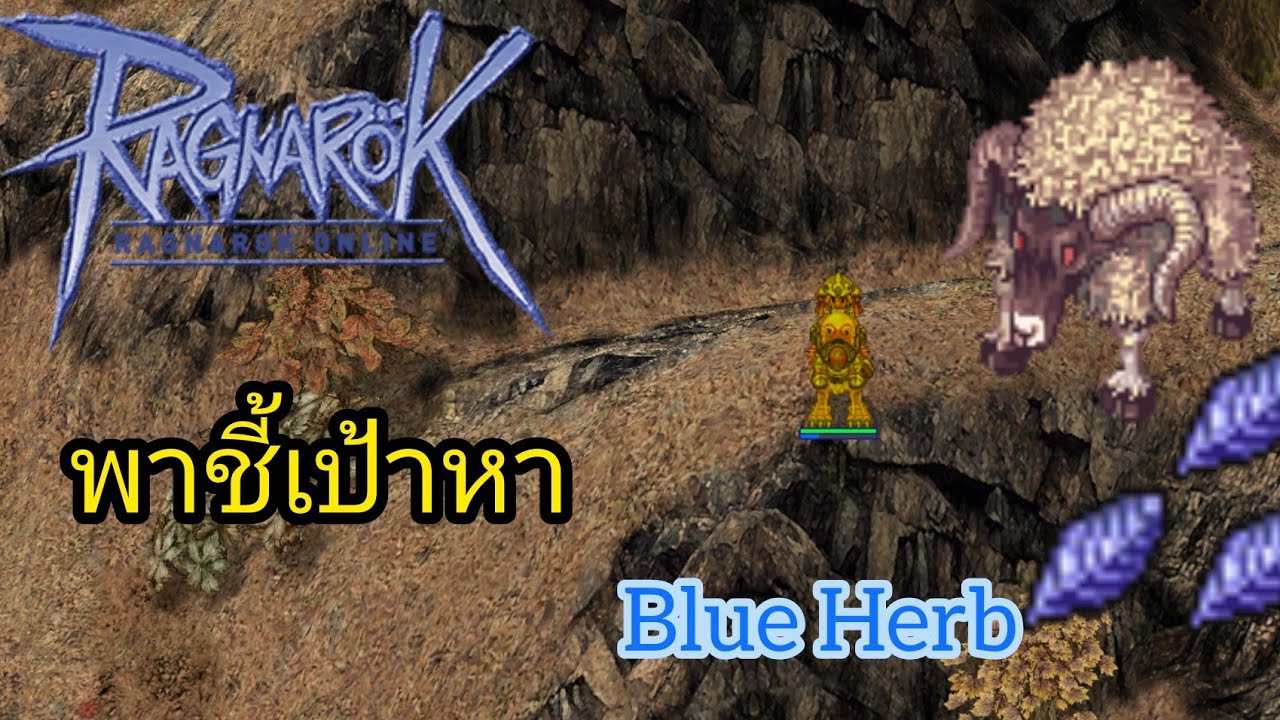 Ragnarok พาชี้เป้าหาใบ Blue Herb คนน้อยหาสบาย - YouTube