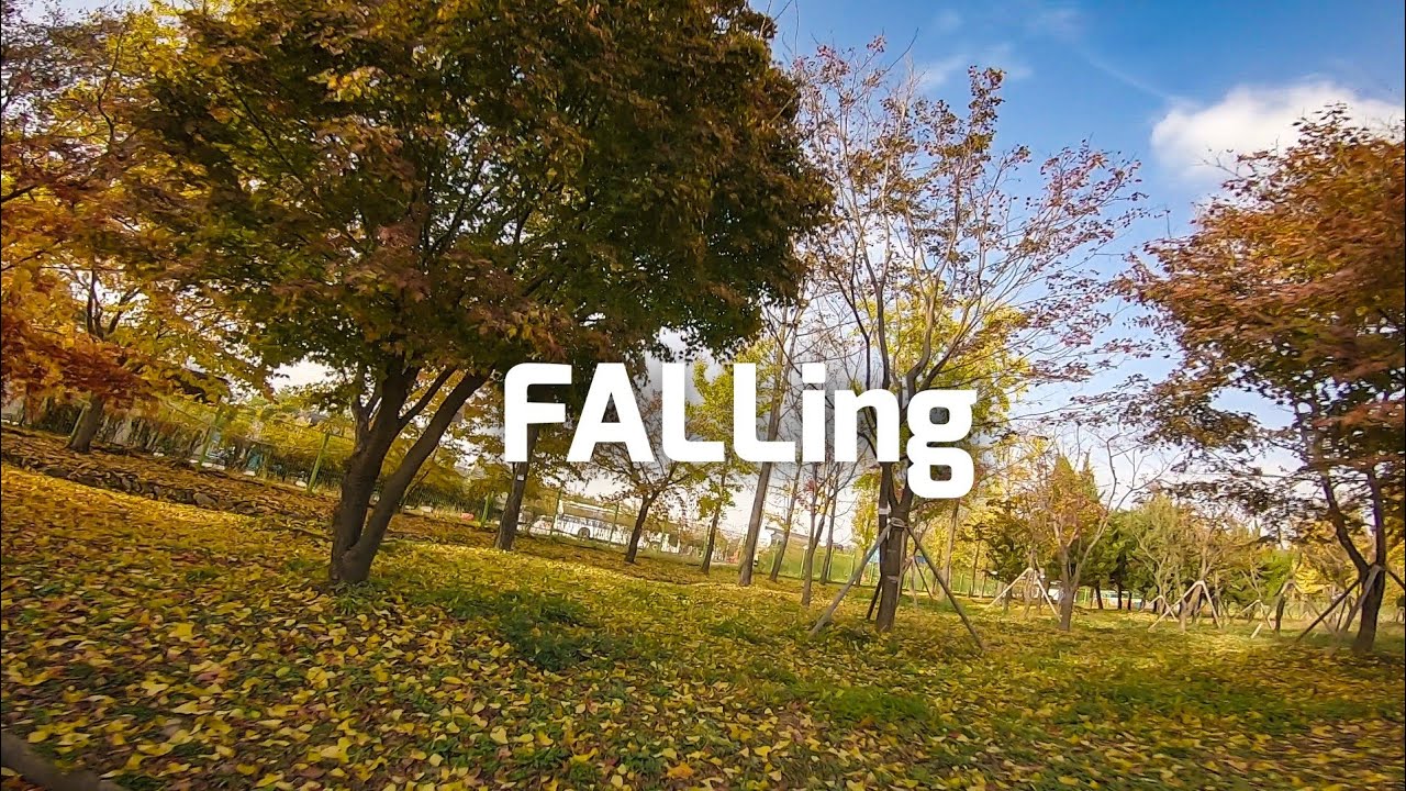 Fallin' into FALL - YouTube