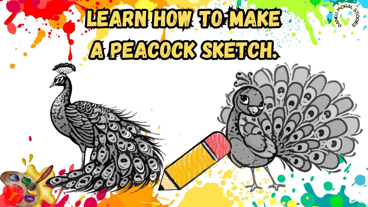 Peacock sketch,draw for Kids & Toddlers | Basic drawings challenge for ...