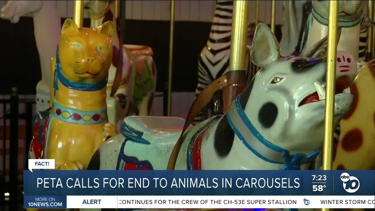 Fact or Fiction: PETA calling for end to use of animals in carousels ...