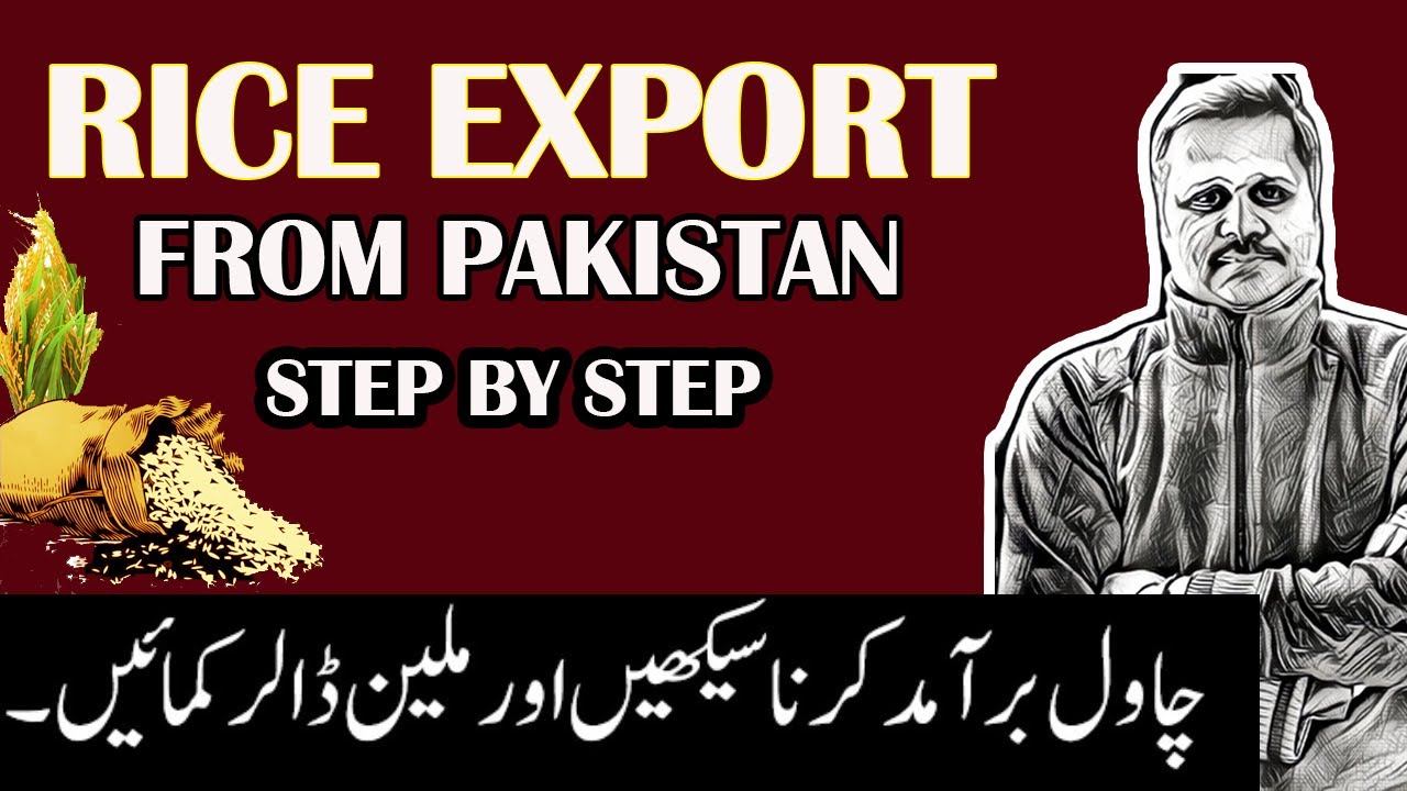 How to export rice from Pakistan | export rice business || Export rice ...