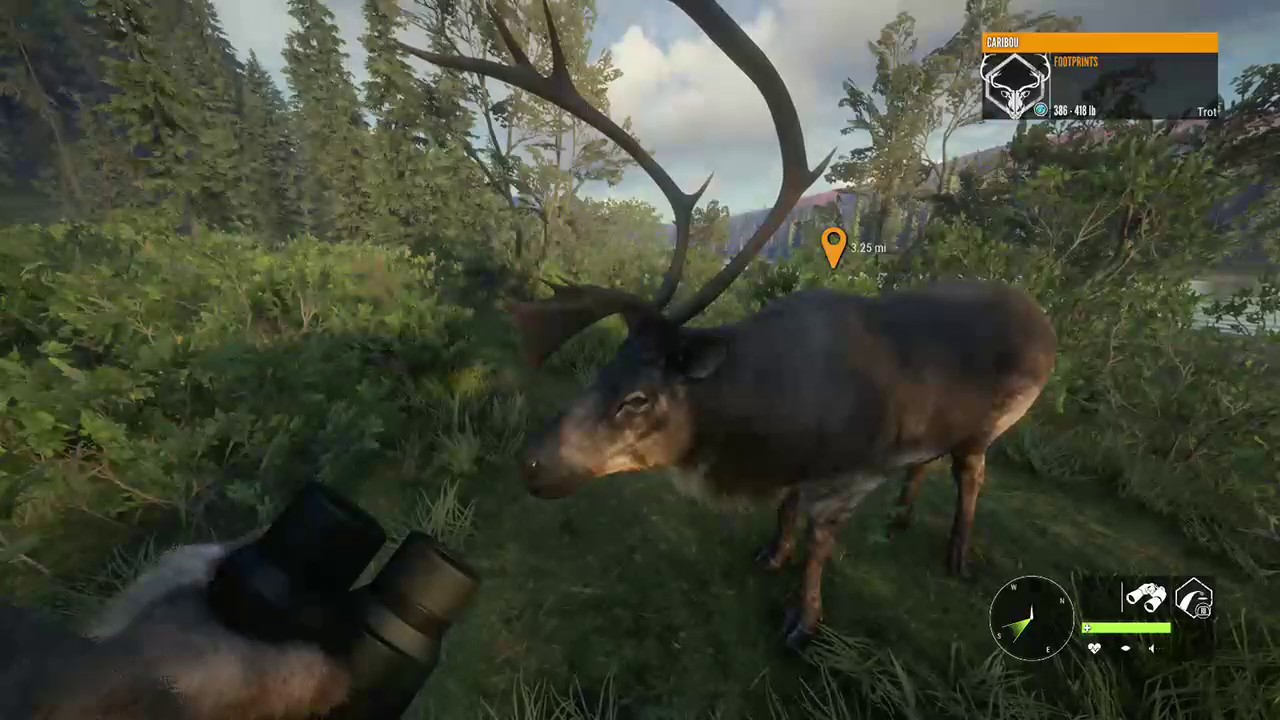 Thehunter: Call of the Wild Pet caribou - YouTube